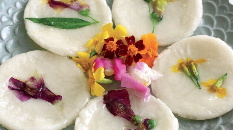 Panfried Sweet Rice Cakes with Edible Flowers (Hwajeon) - Cook With ...